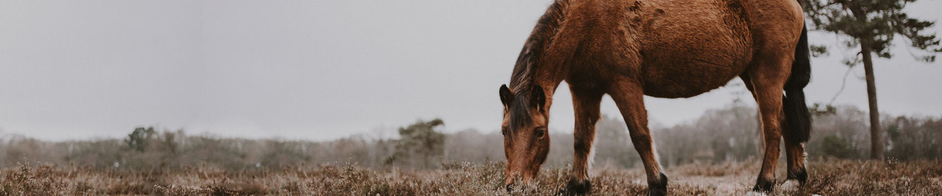 CeraTex - Infrarot-Textilien GmbH